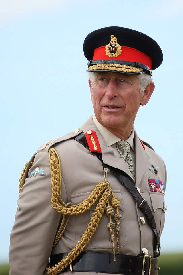 Arborii de pe proprietatea prinţului Charles, folosiţi pentru ...