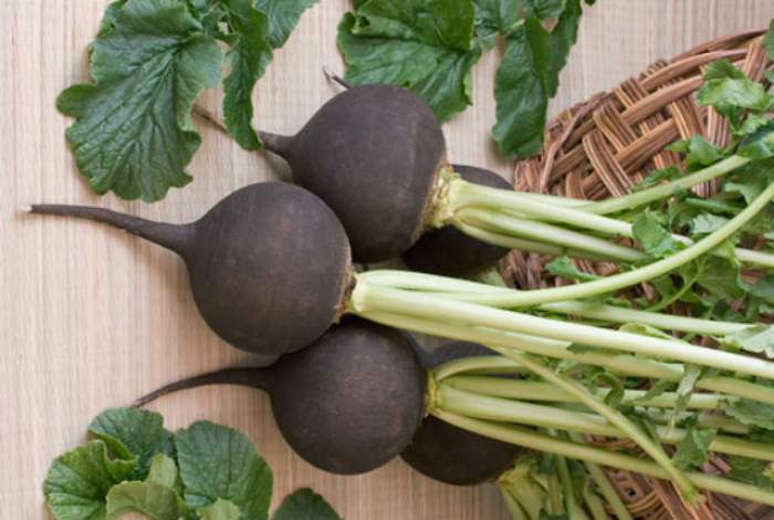 RIDICHEA NEAGRĂ este o adevărată MINUNE a NATURII! Cum să îţi PURIFICI ...