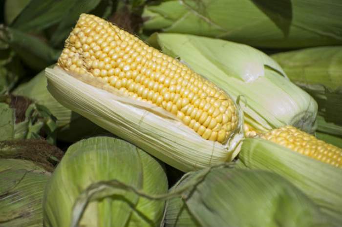 Porumbul, unul dintre cele mai nutritive alimente din natură! De ce ...