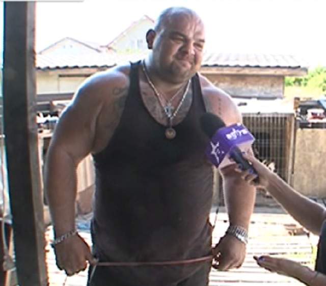 Ce spune Mudava Pit despre antrenarea câinilor cu maşina, în trafic ...