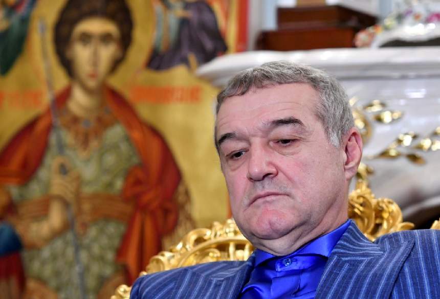 Imagini de senzație cu Gigi Becali și turma lui de oi. Afaceristul şi-a ...