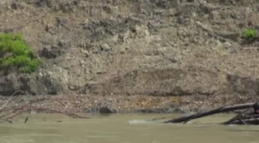 Un tânăr de 19 ani a dispărut în râul Trotuş, în timp ce căuta lemne ...