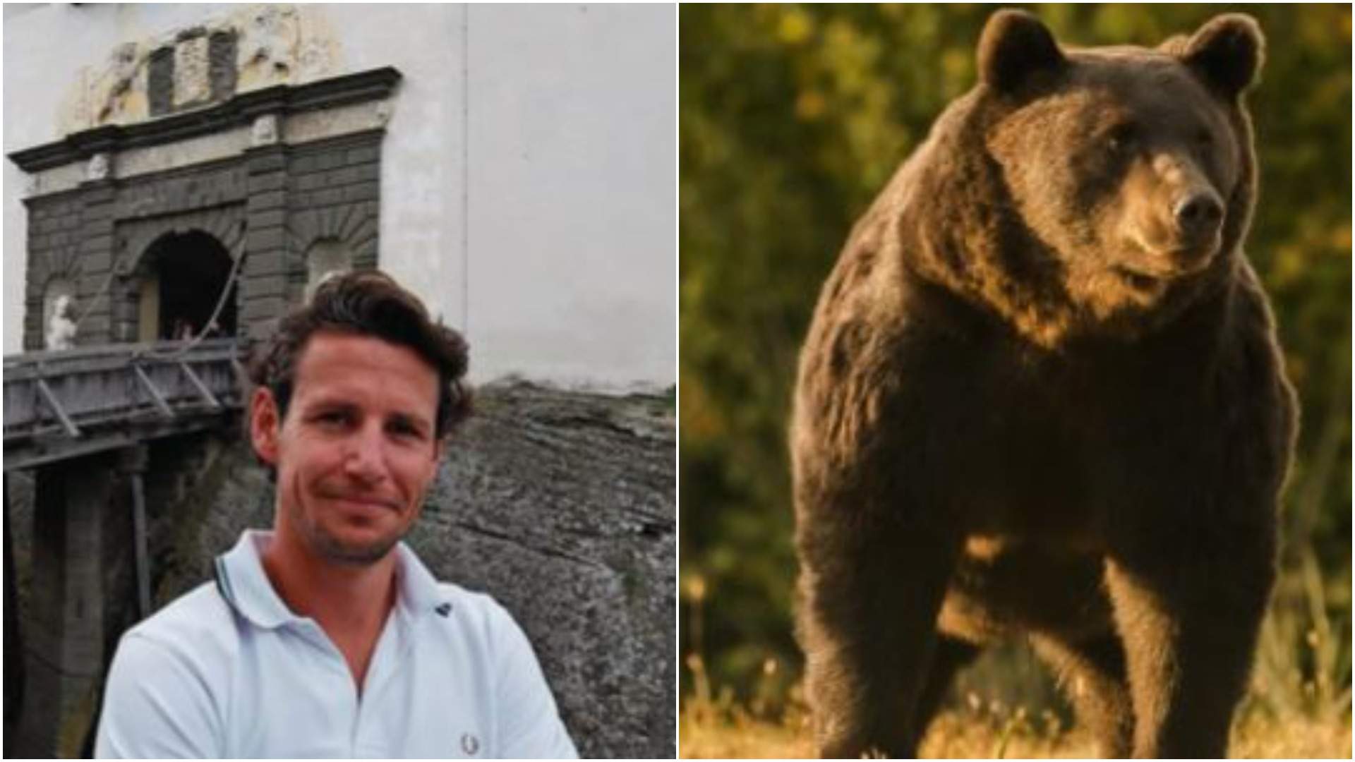 Arthur, cel mai mare urs din România, ucis de un prinţ străin, într-o ...