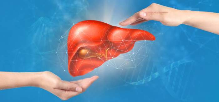 Regim alimentar pentru fiere și ficat. Ce ai voie să mănânci și ce nu ...