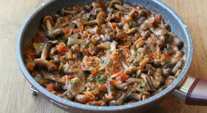 Rețetă de tocăniță de ghebe. Un preparat delicios și ușor de realizat ...