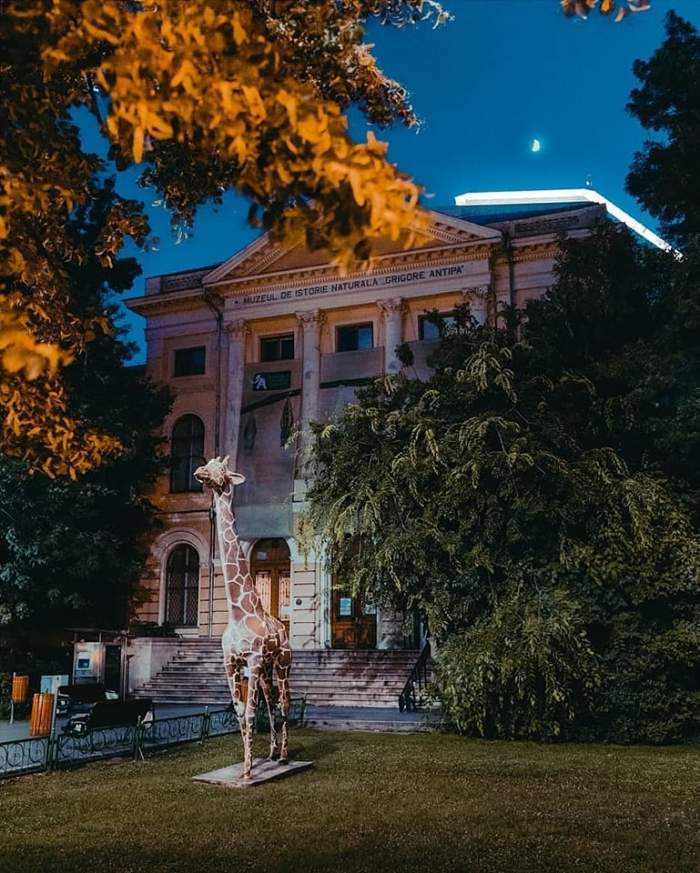 Sute de glume pe internet, dupa ce s-a oferit intrare gratuită în ...