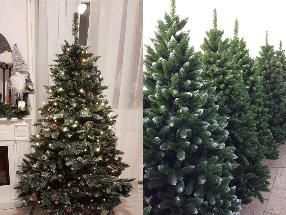 Cât va costa un brad natural sau artificial de Crăciun. Prețurile au ...