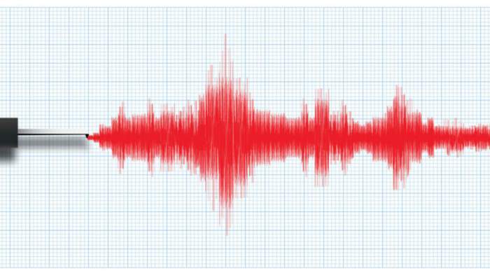 Cutremur în România, în această după-amiază. În ce zonă s-a resimțit și ...