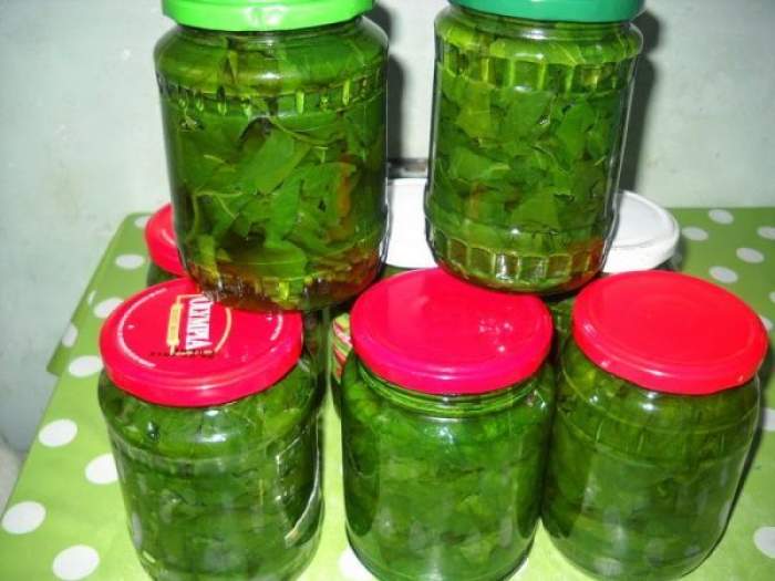 Rețeta de ștevie, spanac, leurdă, la borcan, pentru iarnă. Cum le ...