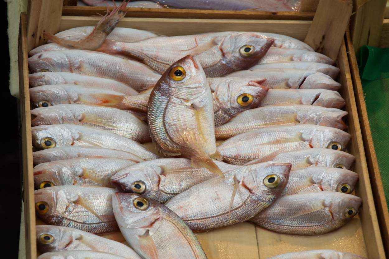 Specialiștii, explicații clare după decesele celor trei persoane de la ...