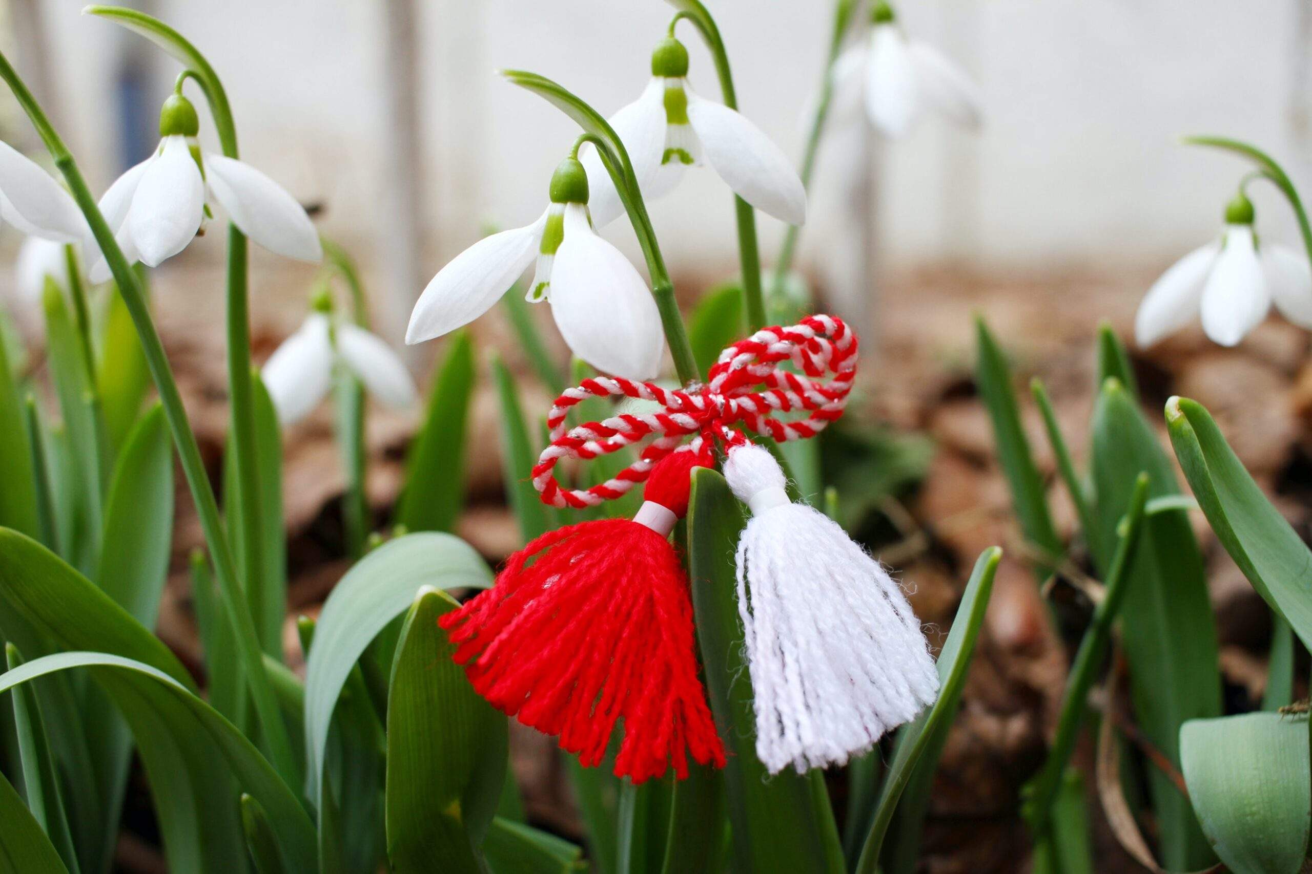 Tradiții, obiceiuri și superstiții de 1 Martie. Care este semnificația ...