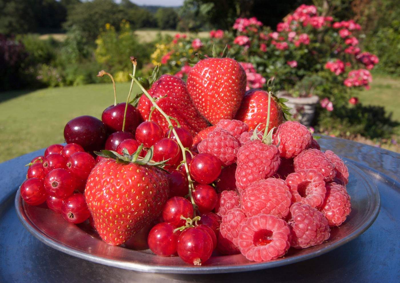 Top 5 cele mai scumpe fructe din lume! Locul 1 costă 45 de mii de euro ...