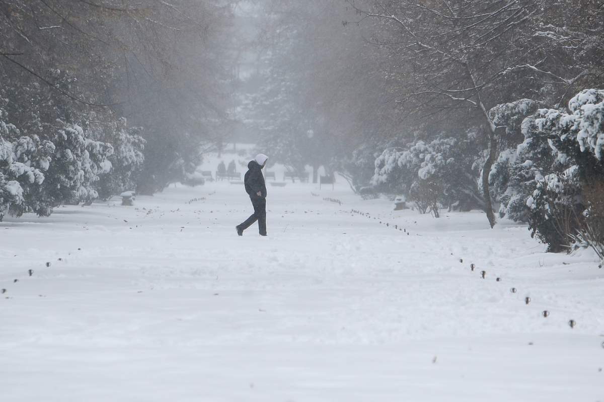 Se închid școlile din România din cauza frigului. Județele unde elevii ...